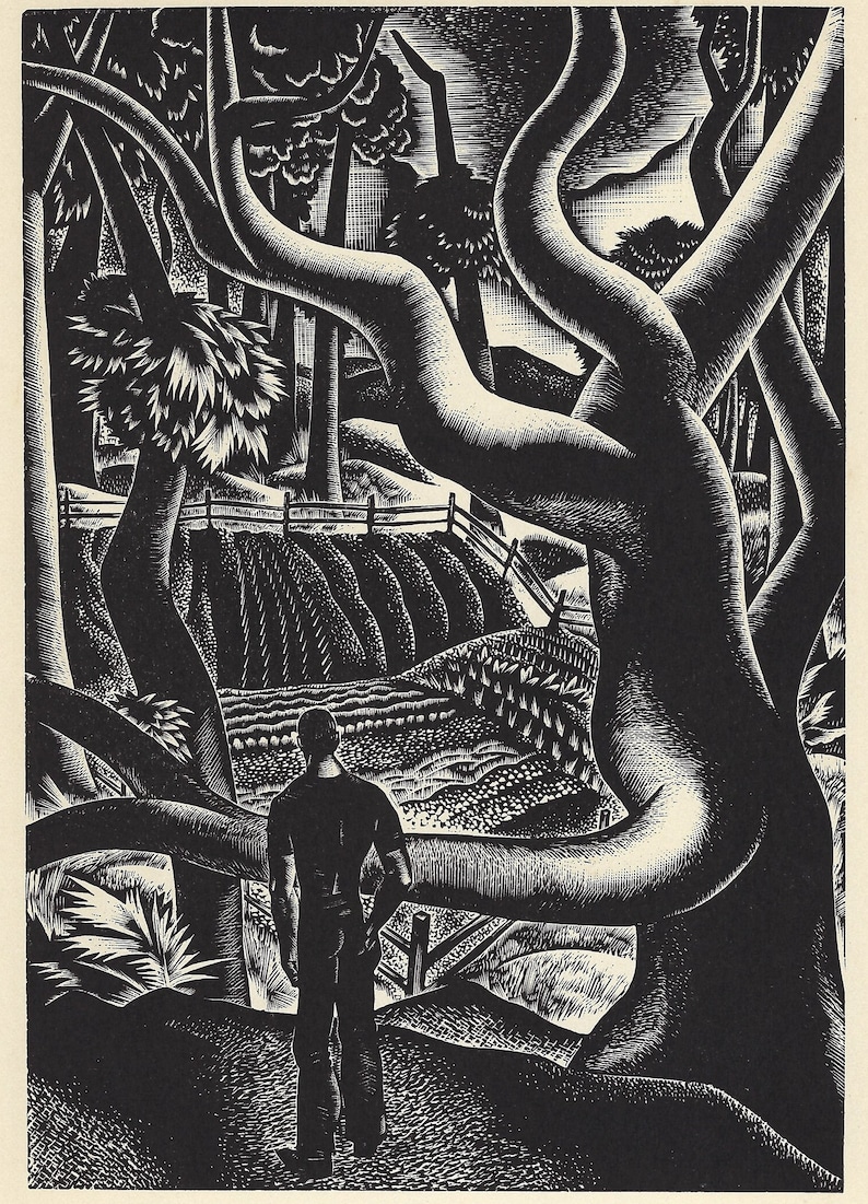 Lynd Ward (american 1905-1985) Wood Engraved Illustration From Wild ...