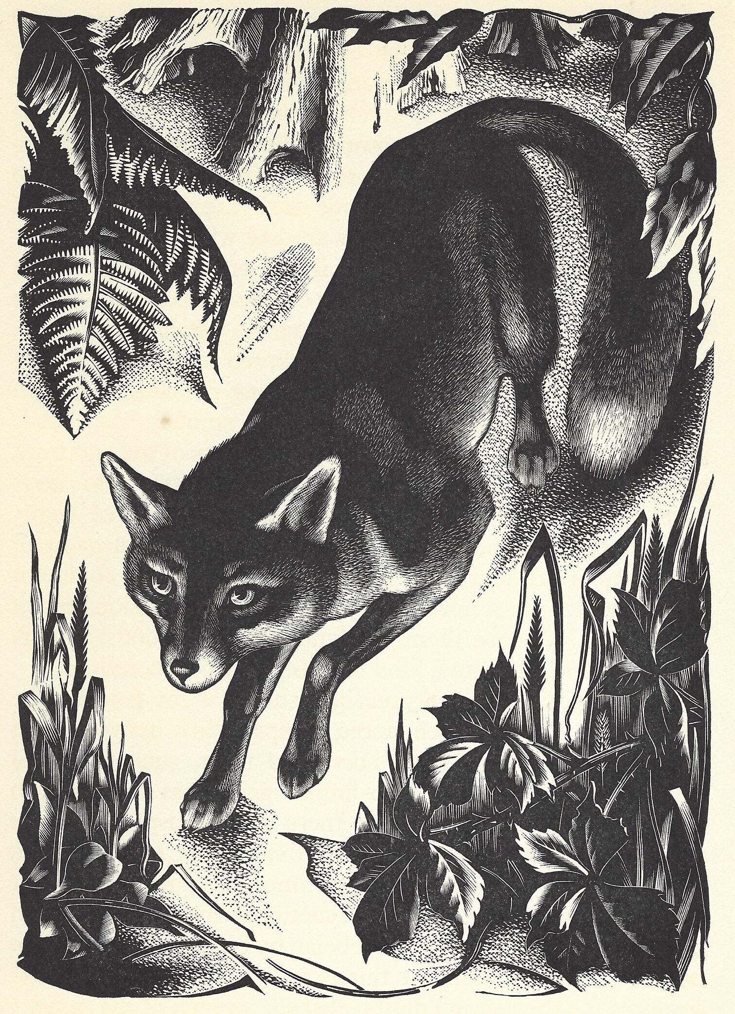 Agnes Miller Parker (british 1895-1980) Wood Engraved Illustration From ...