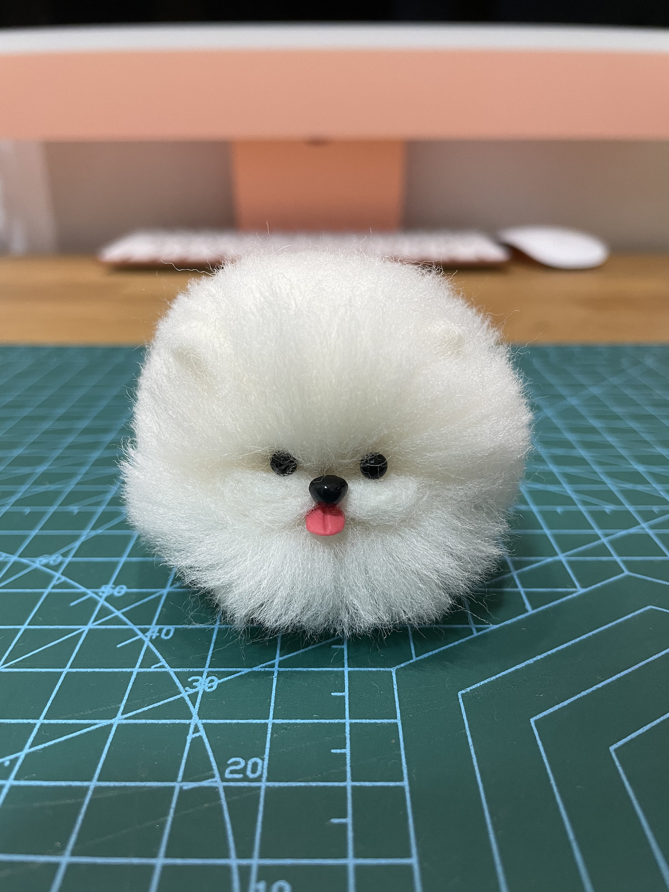 Micro Teacup Pomeranian Newborn Puppies