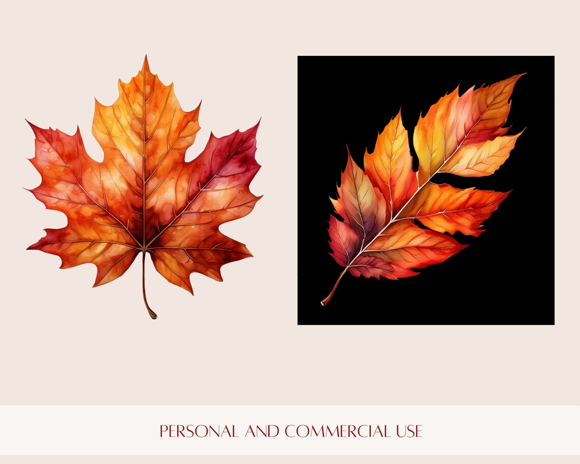 Watercolor Autumn Clipart Bundle: Pumpkin Bouquets, Fall Leaves ...