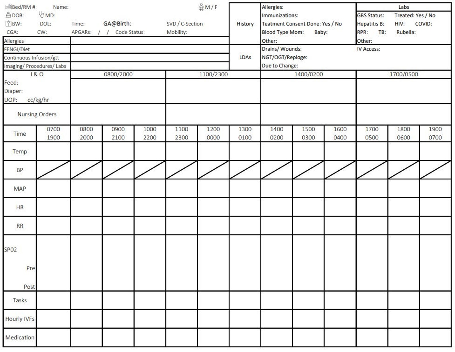 Printable & Editable Nursing Assessment Patient Chart Report - Etsy