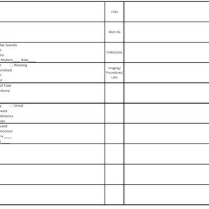 Printable & Editable Nursing Assessment Patient Chart Report - Etsy