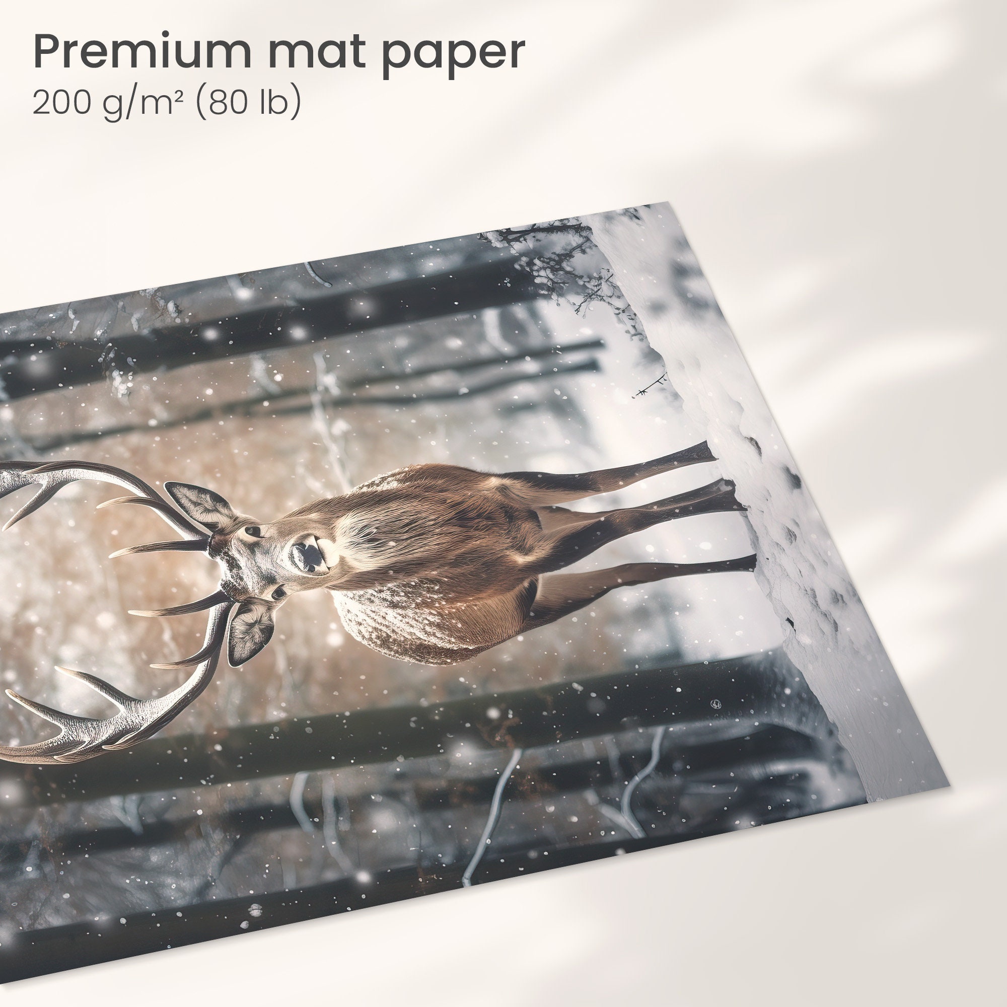 Deer Poster Wildlife Wall Art Male Deer Wall Decor Wildlife Photography ...