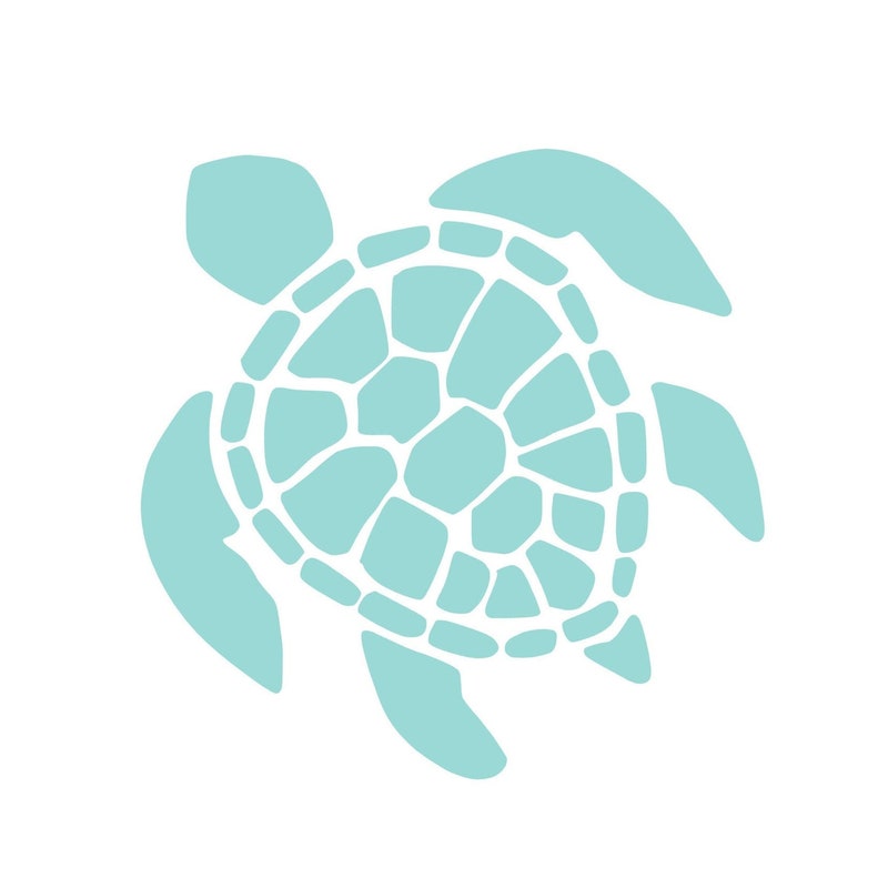 Turtle Decal - Etsy
