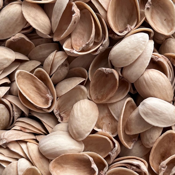 Pistachio Shells - Etsy