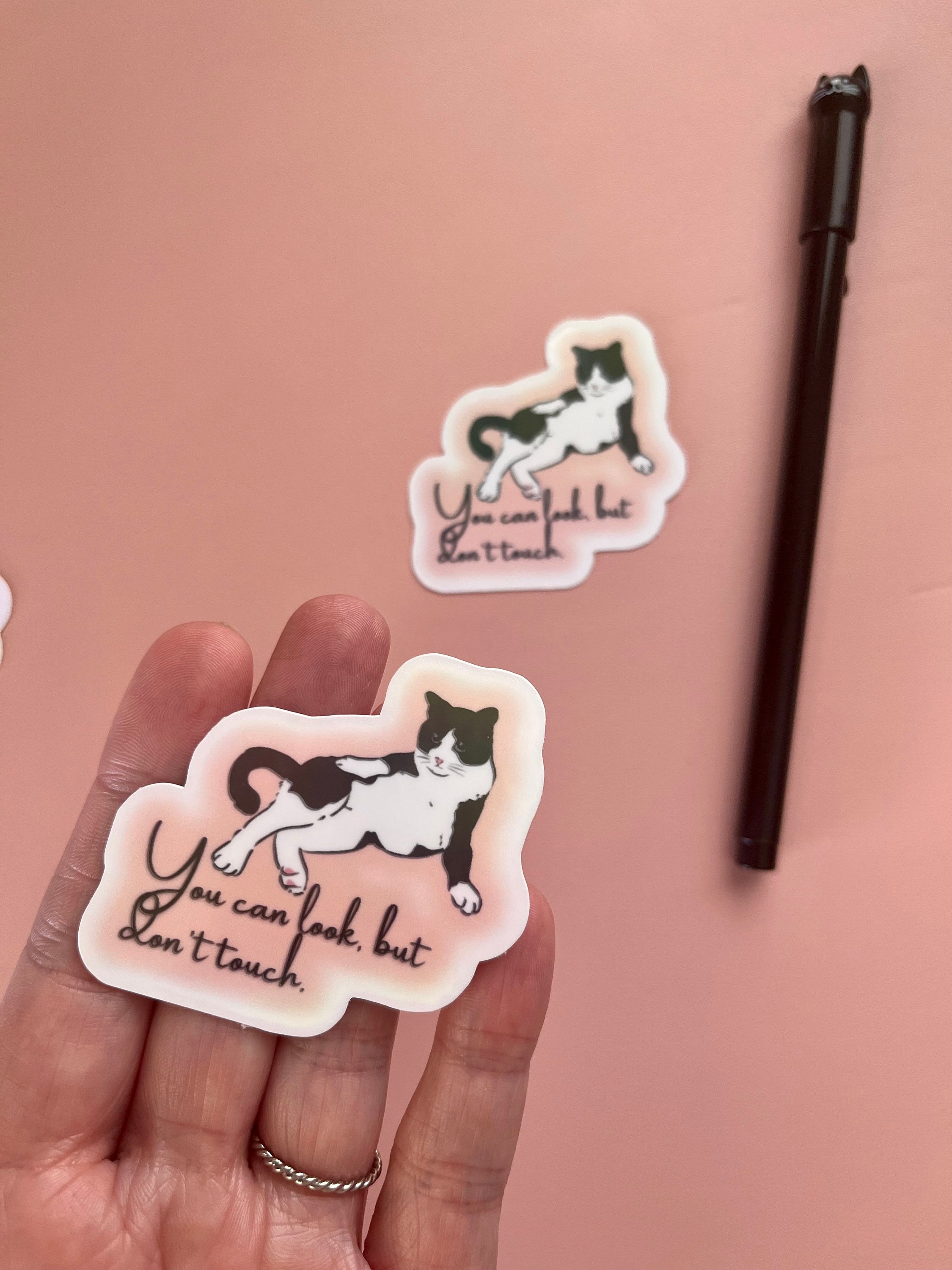 Cat Tummy Sticker, Funny Cat Sticker, Cute Sticker - Etsy