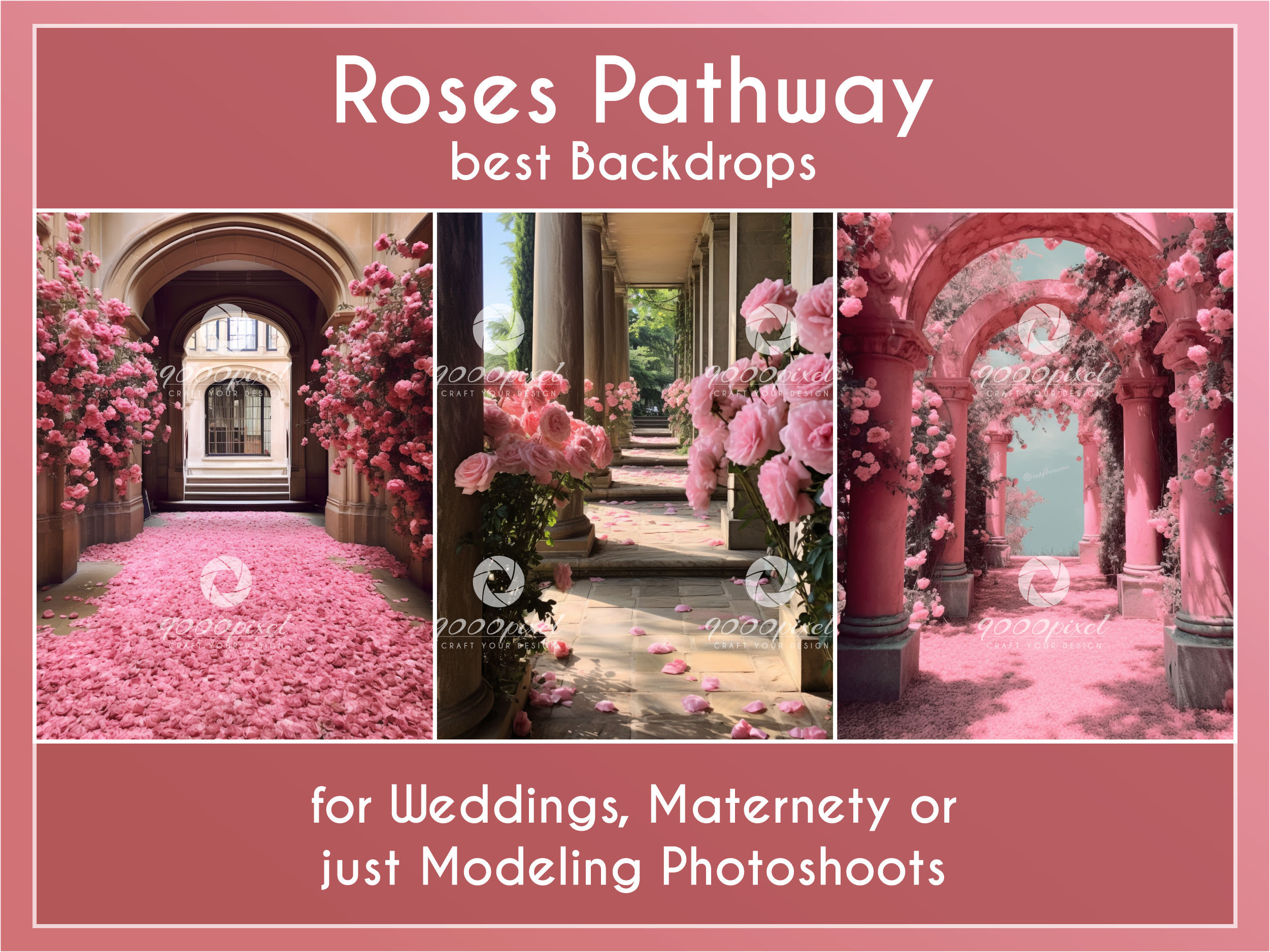 25 Photo Backdrops, Roses Pathway for Modeling, Wedding or Maternity ...