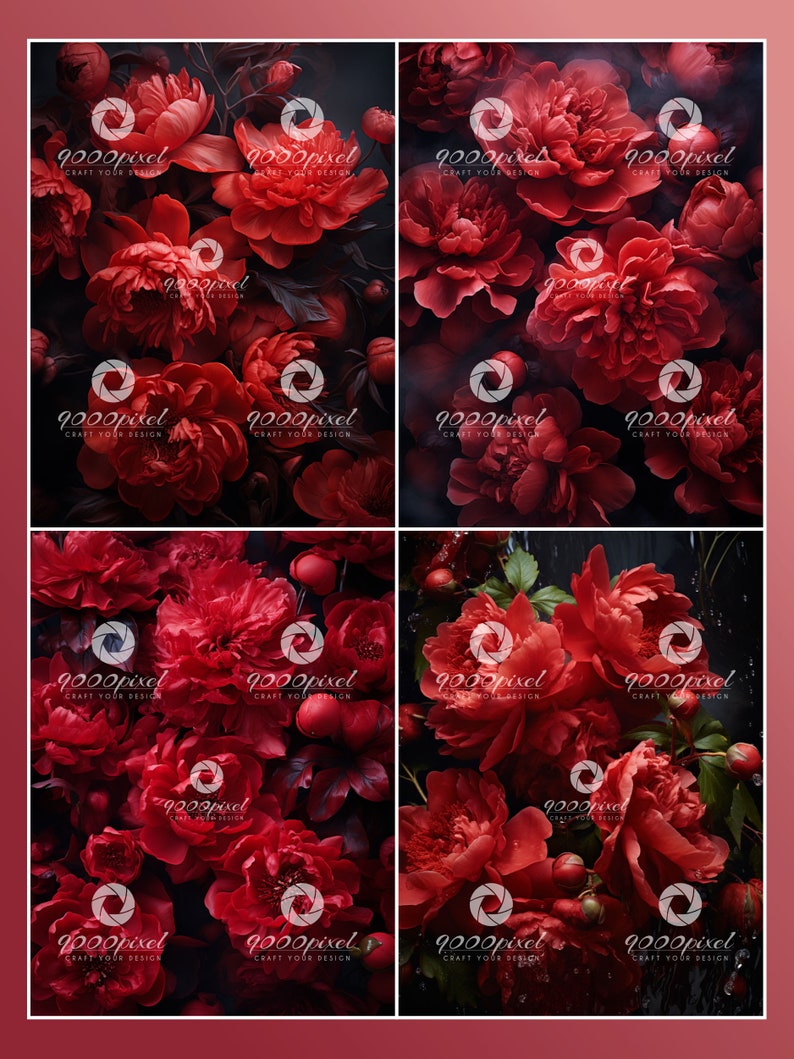 20 Photo Backdrop Set, Red Flowers Backgrounds, Fine Art Canva Studio ...