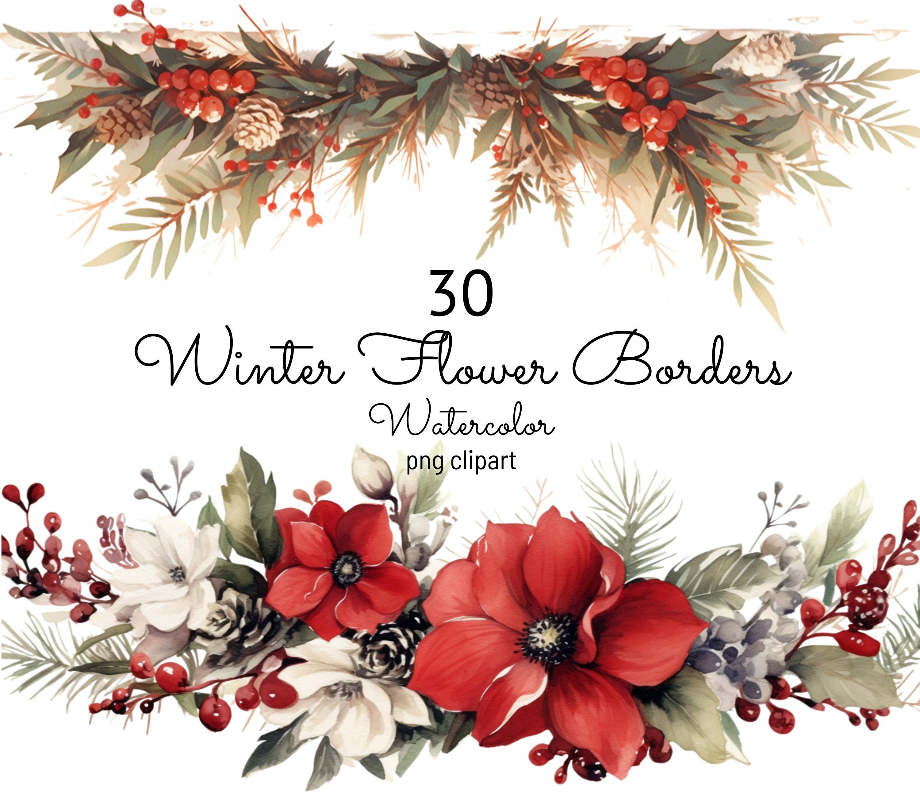 30 Winter Floral Border Clipart: Watercolor Christmas PNG (digital ...