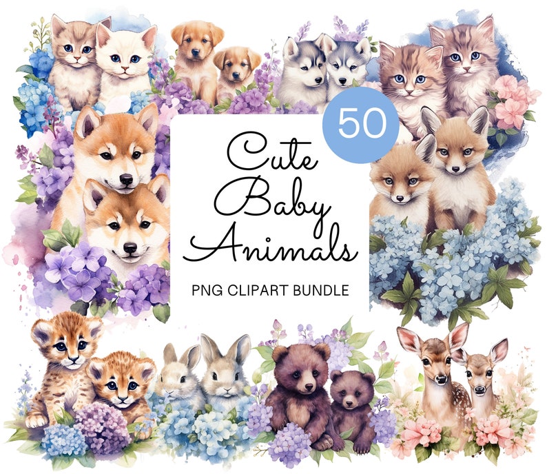 Cute Baby Animals PNG Clipart Bundle Watercolor Cute Animals Floral ...