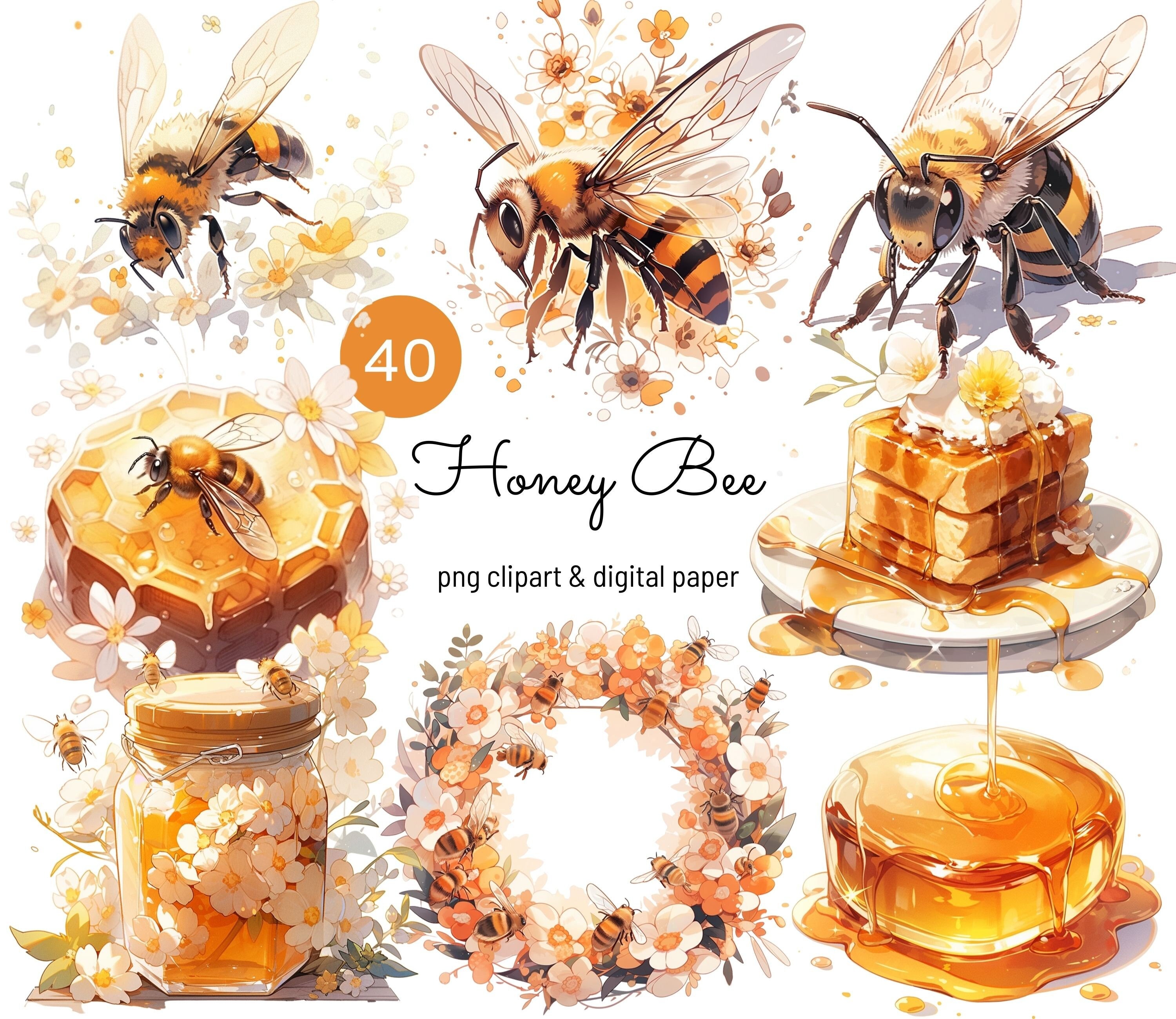 Honey Bee Clipart Honeycomb Clip Art Wildflower Wreath Floral PNG Honey ...