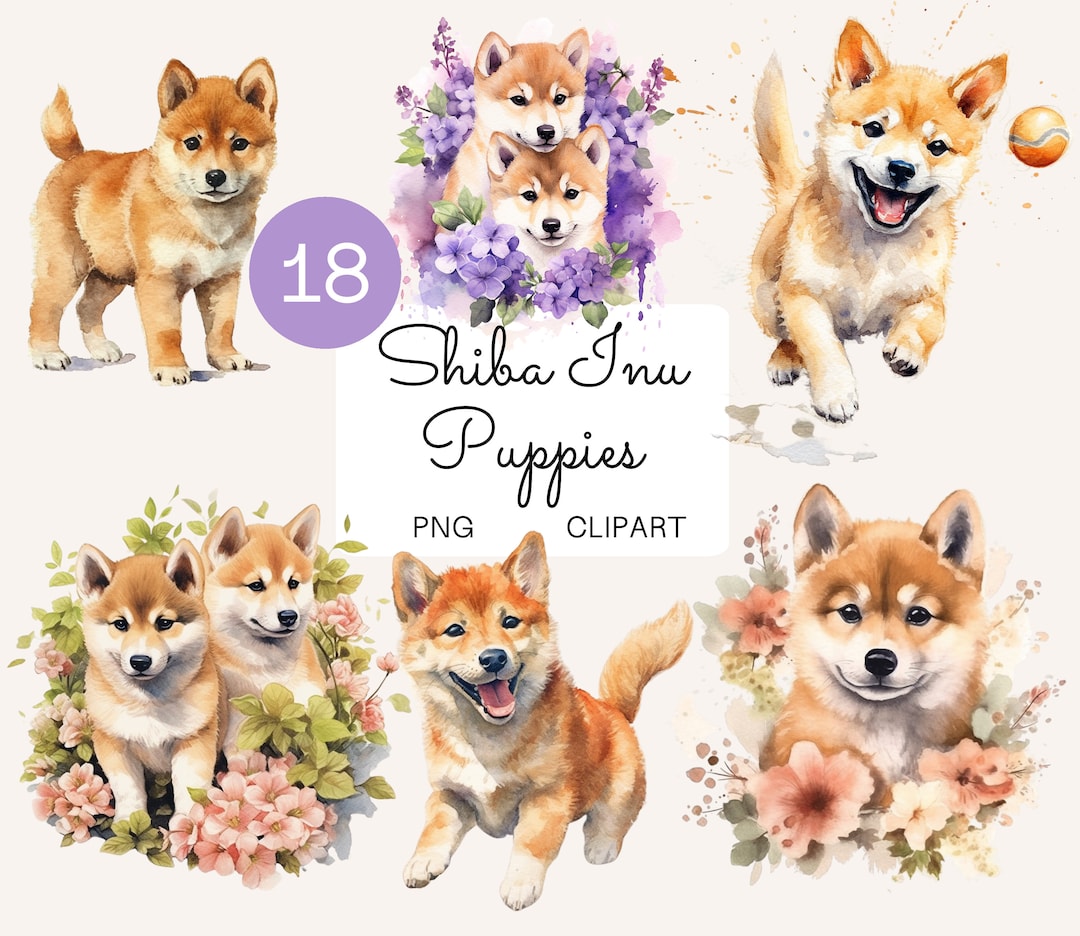 Shiba Inu Puppy PNG Watercolor Clipart Floral Dog Puppy Clipart Digital ...