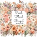 Peach Floral Clipart Bundle: Watercolor Blush Flowers (PNG Digital ...