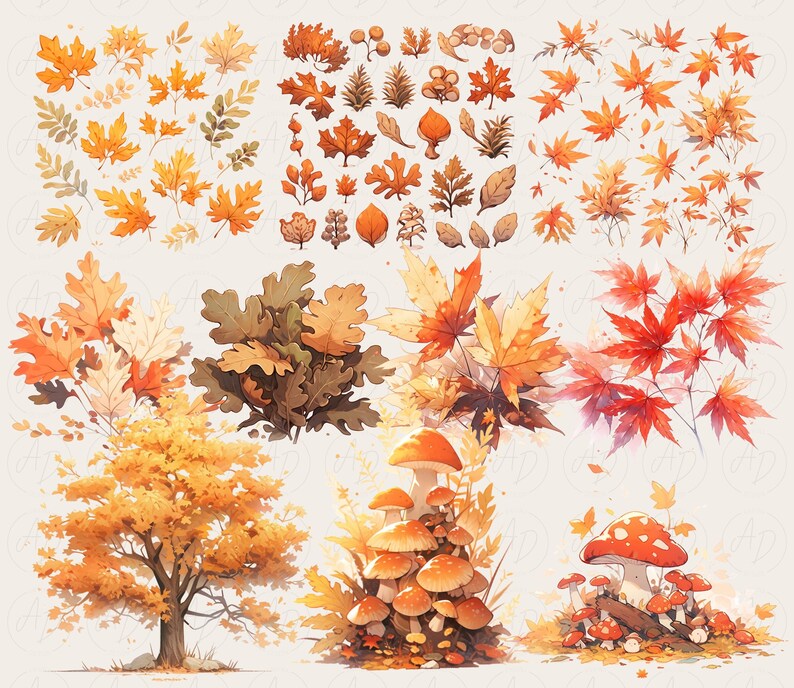 Autumn Clipart Fall Pumpkin Clip Art Thanksgiving Florals Watercolor ...