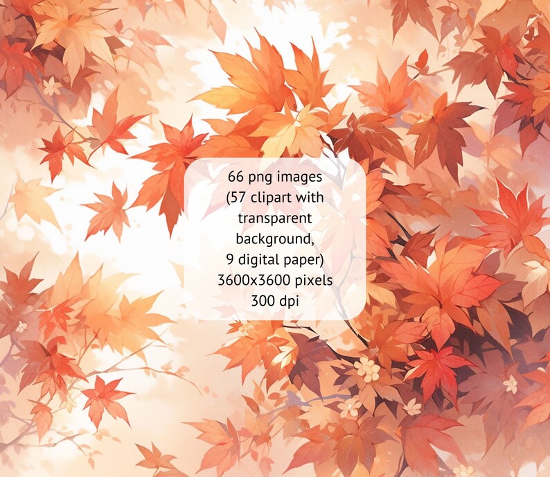 Autumn Clipart Fall Pumpkin Clip Art Thanksgiving Florals - Etsy