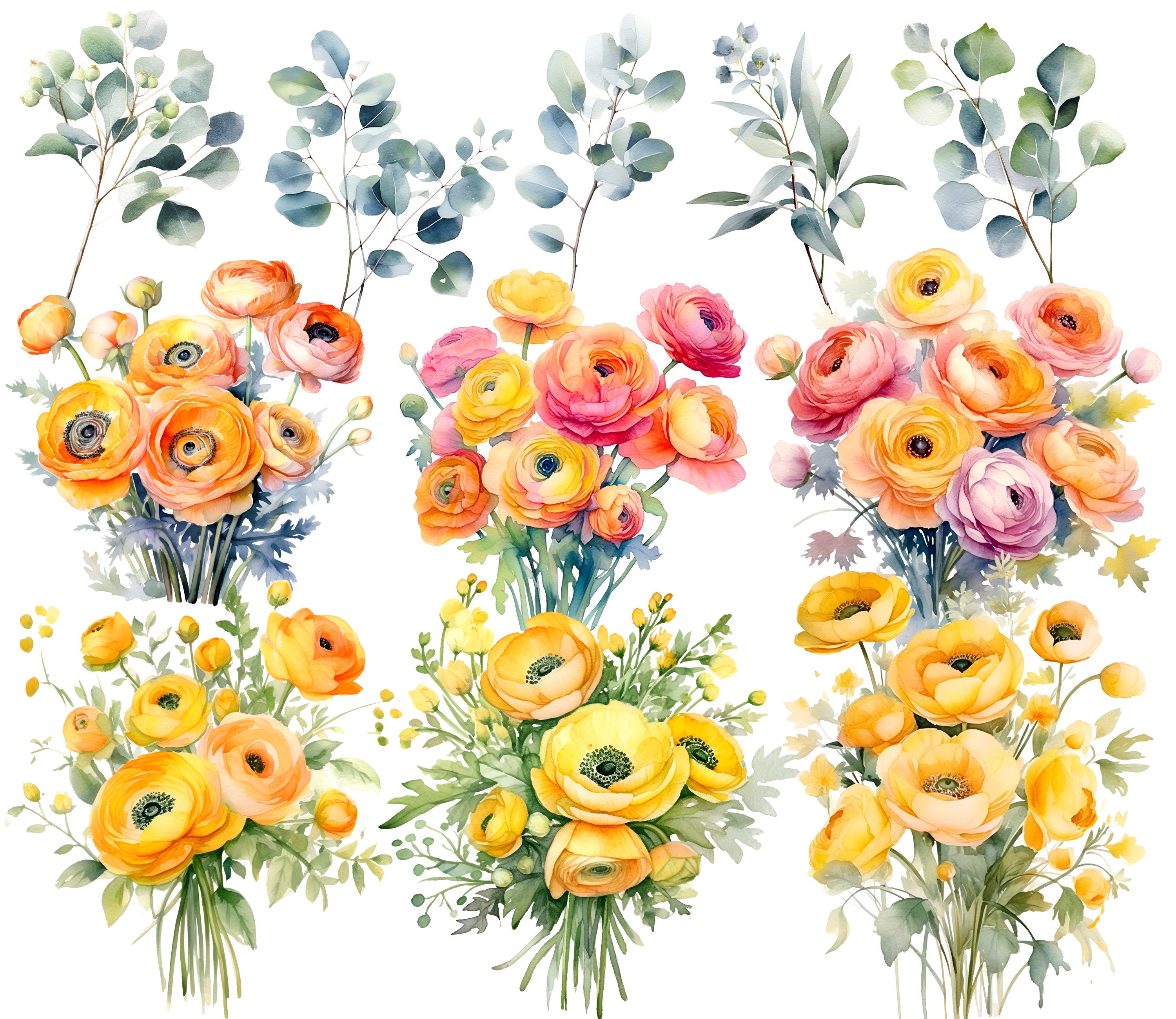 Ranunculus Bouquet Clipart Bundle PNG Flower Bunch Clip Art Watercolor ...