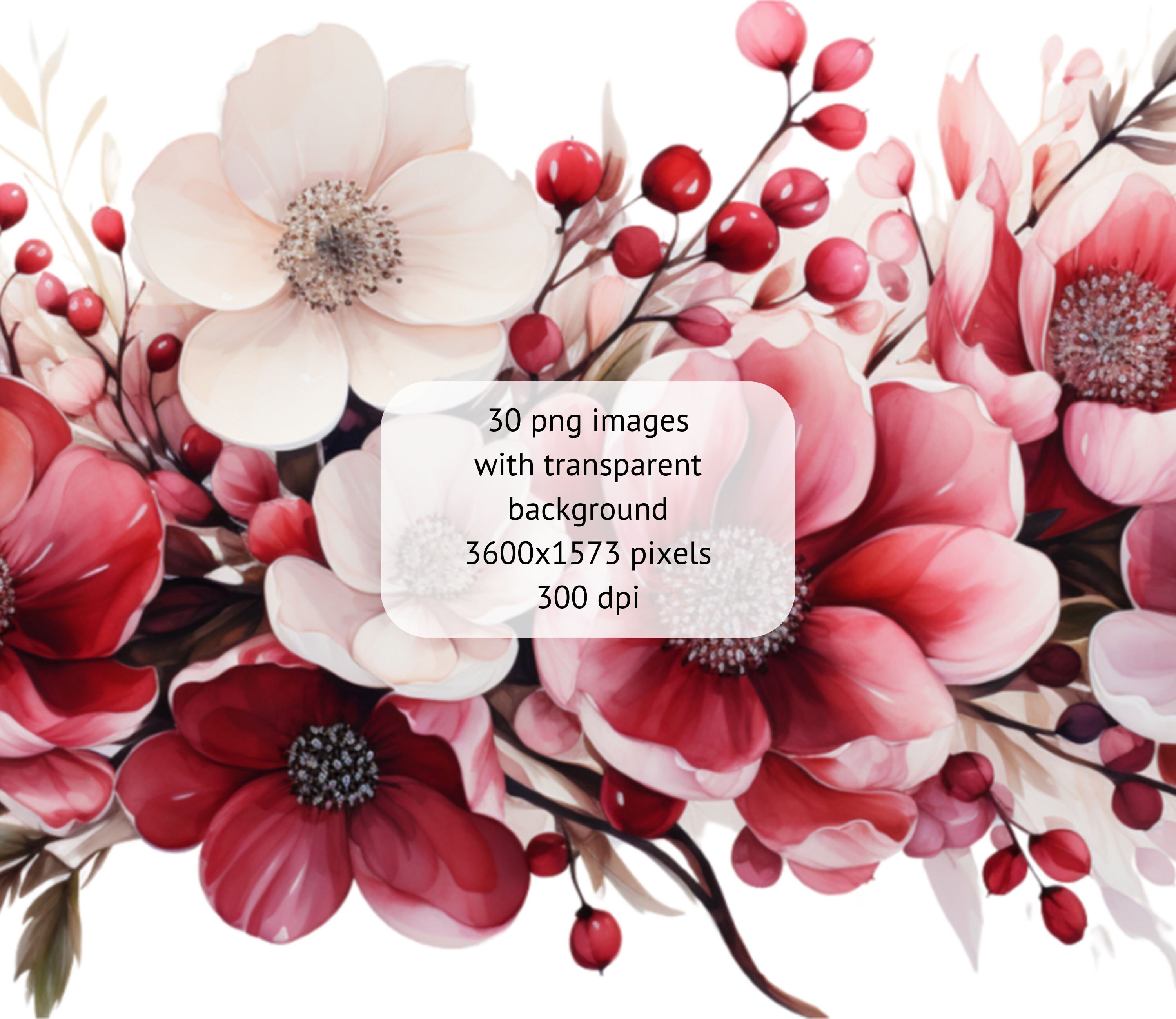 30 Winter Floral Border Clipart: Watercolor Christmas PNG (digital ...