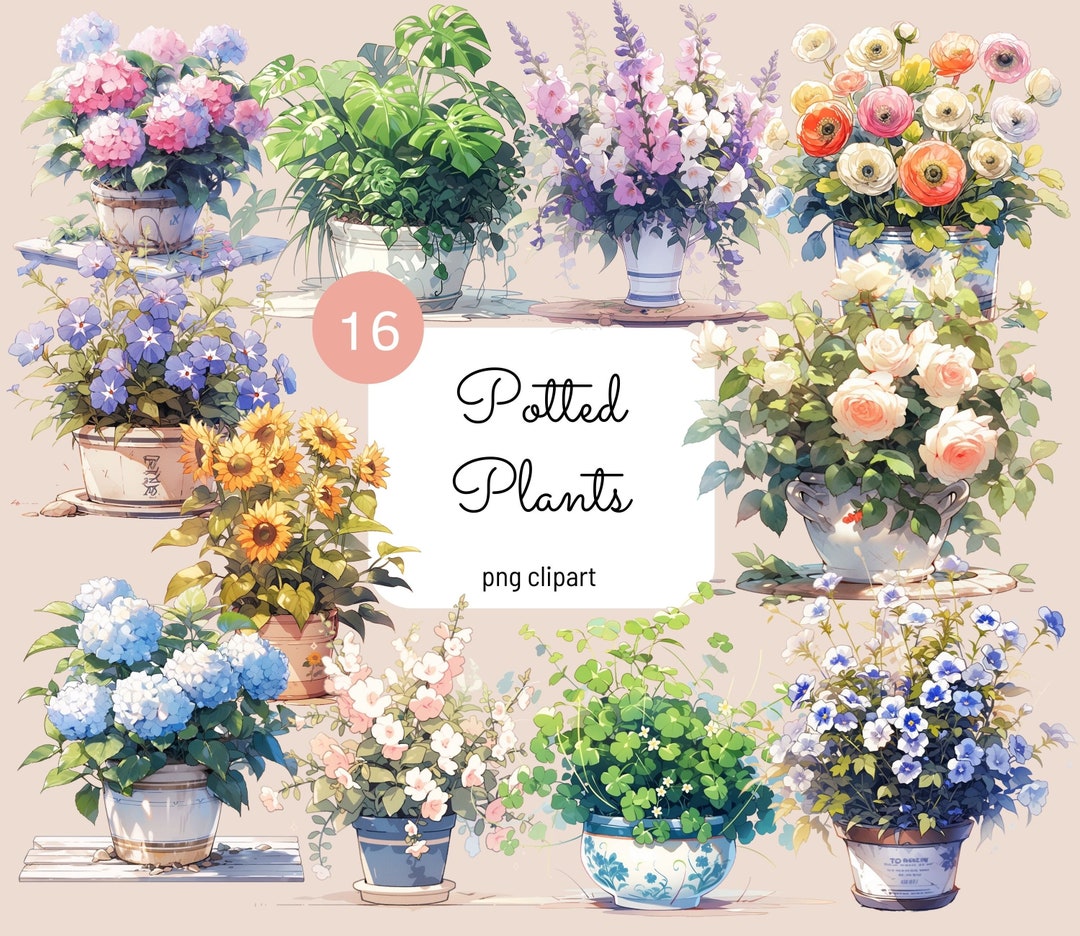 16 Potted Plants Clipart Plant Pot Clip Art House Plant Floral ...