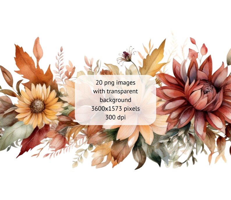 Watercolor Fall Flower Border Clipart: Autumn Wildflower Graphics (PNG ...