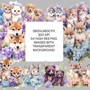 Cute Baby Animals PNG Clipart Bundle Watercolor Cute Animals Floral ...