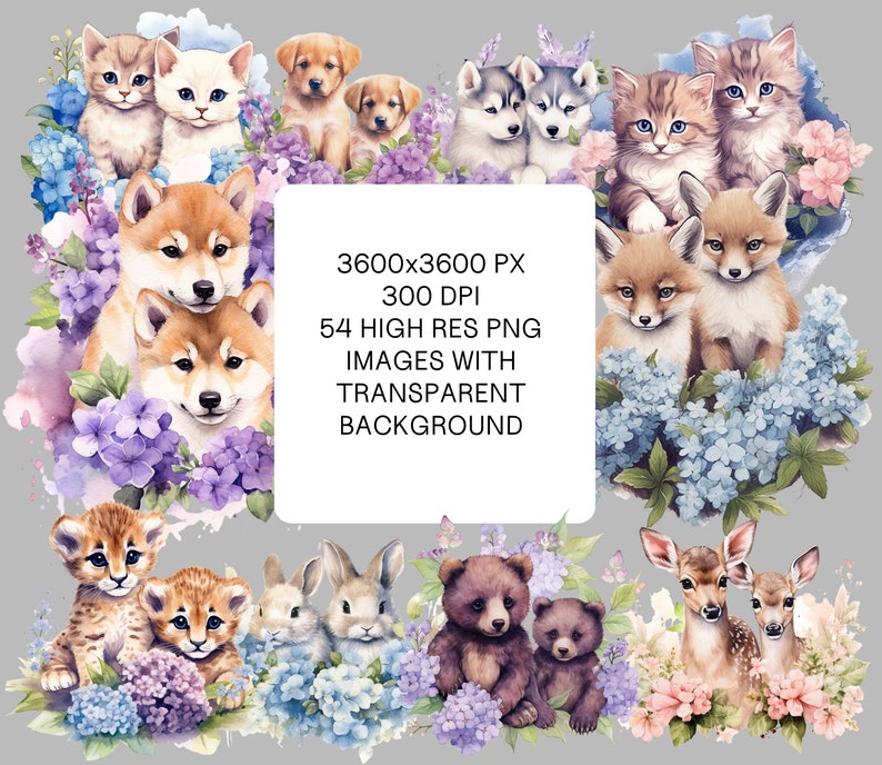 Cute Baby Animals PNG Clipart Bundle Watercolor Cute Animals - Etsy