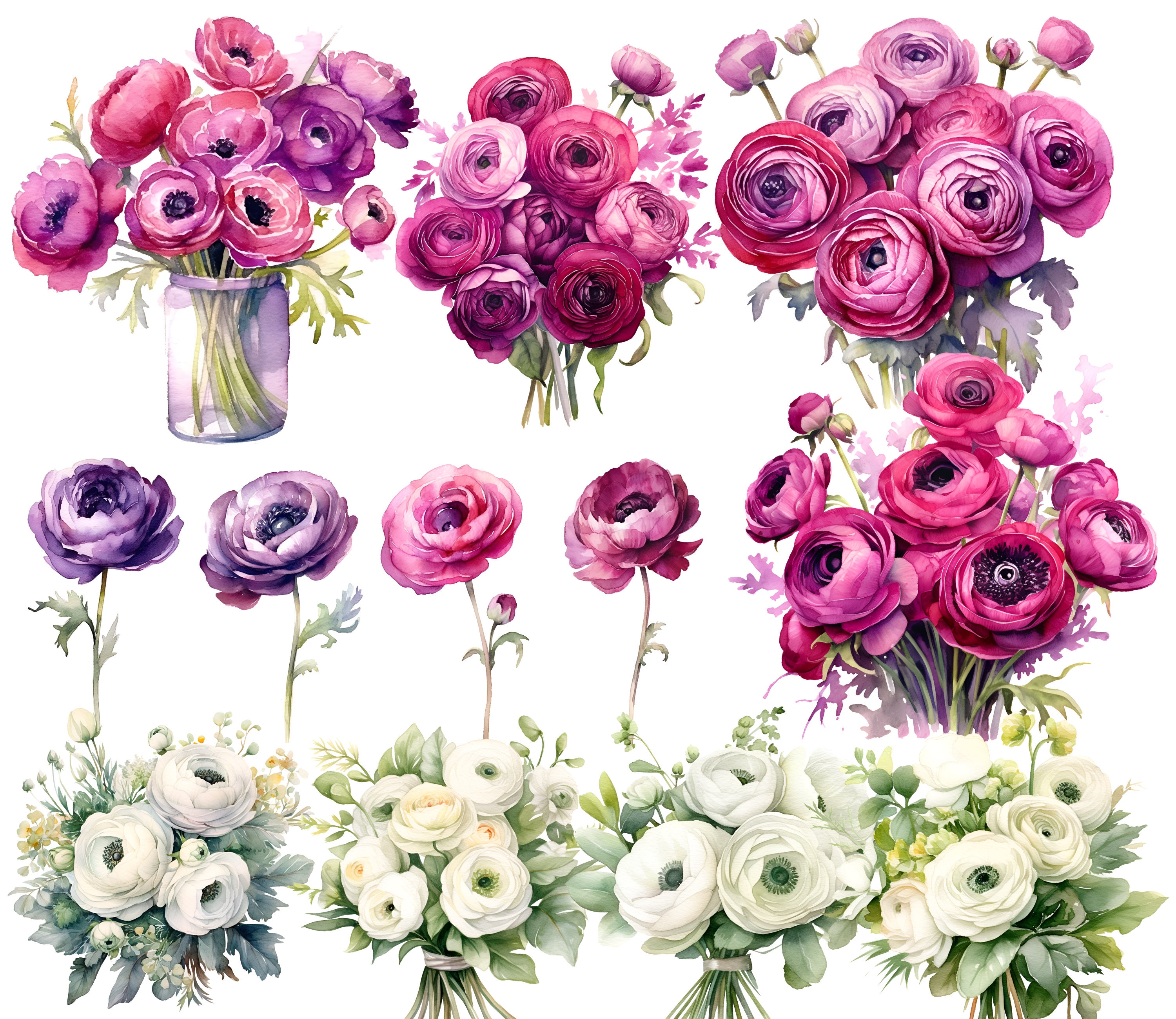 Ranunculus Bouquet Clipart Bundle PNG Flower Bunch Clip Art Watercolor ...