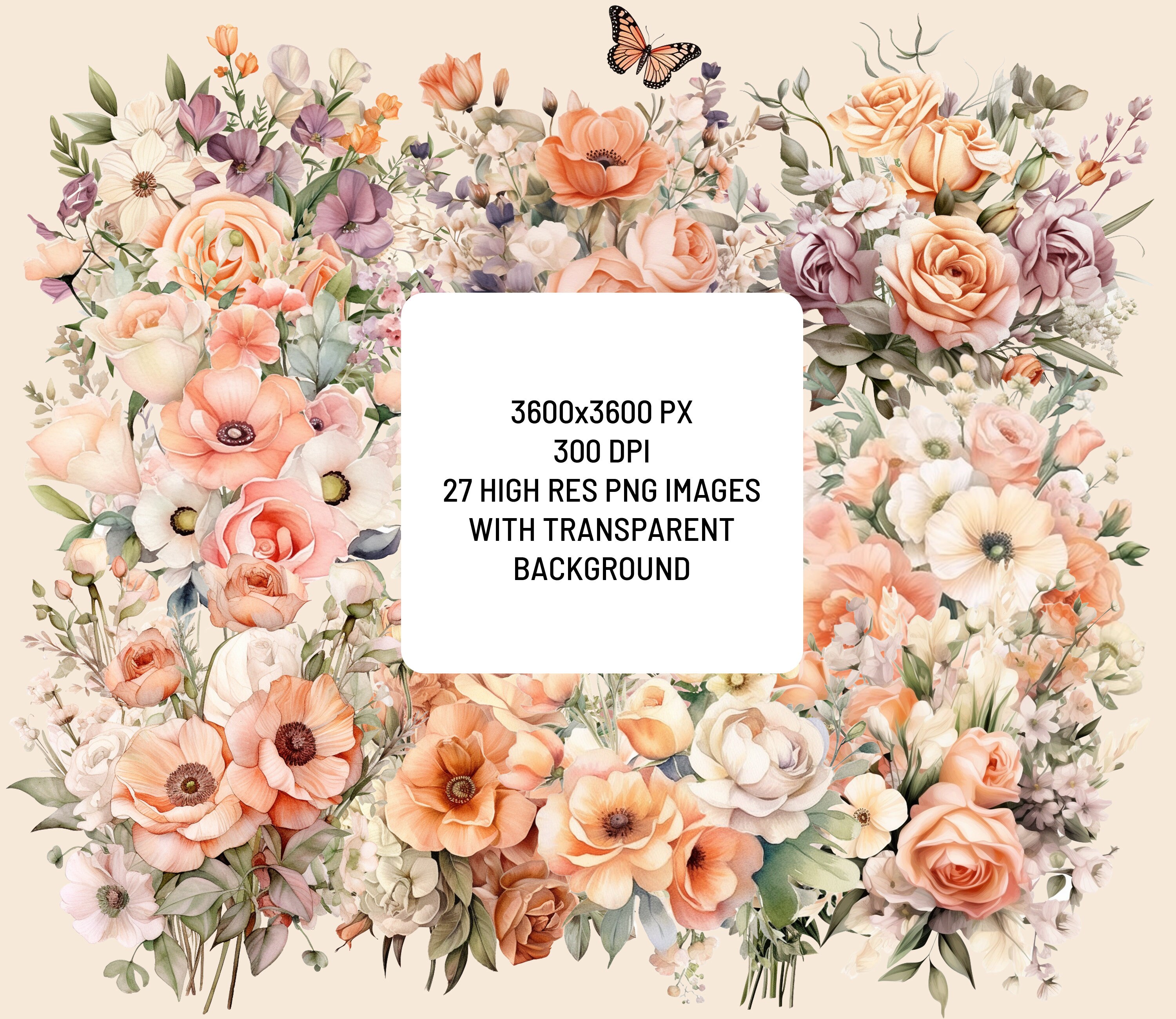 Peach Floral Clipart Bundle: Watercolor Blush Flowers (PNG Digital ...