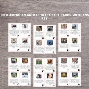 Animal Footprint Clip Cards: North American Animal Track Game (PDF ...