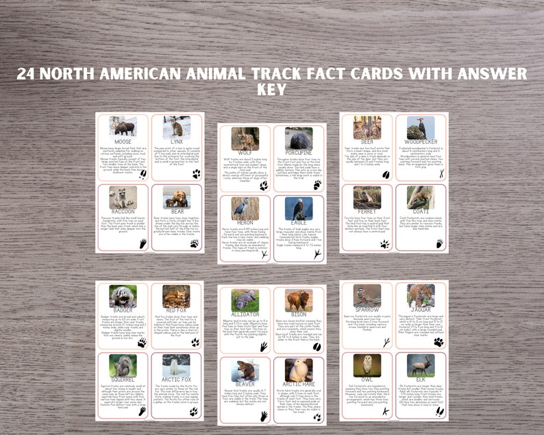 Animal Footprint Clip Cards: North American Animal Track Game (PDF ...