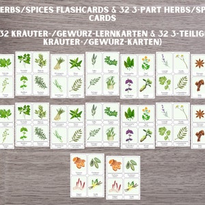 GERMAN Flashcards Bundle, Bilingual Nomenclature Cards, German English ...