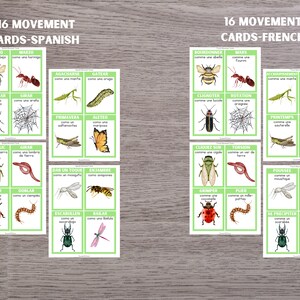 Insect Movement Cards: Multilingual Kids Action Activity (digital ...
