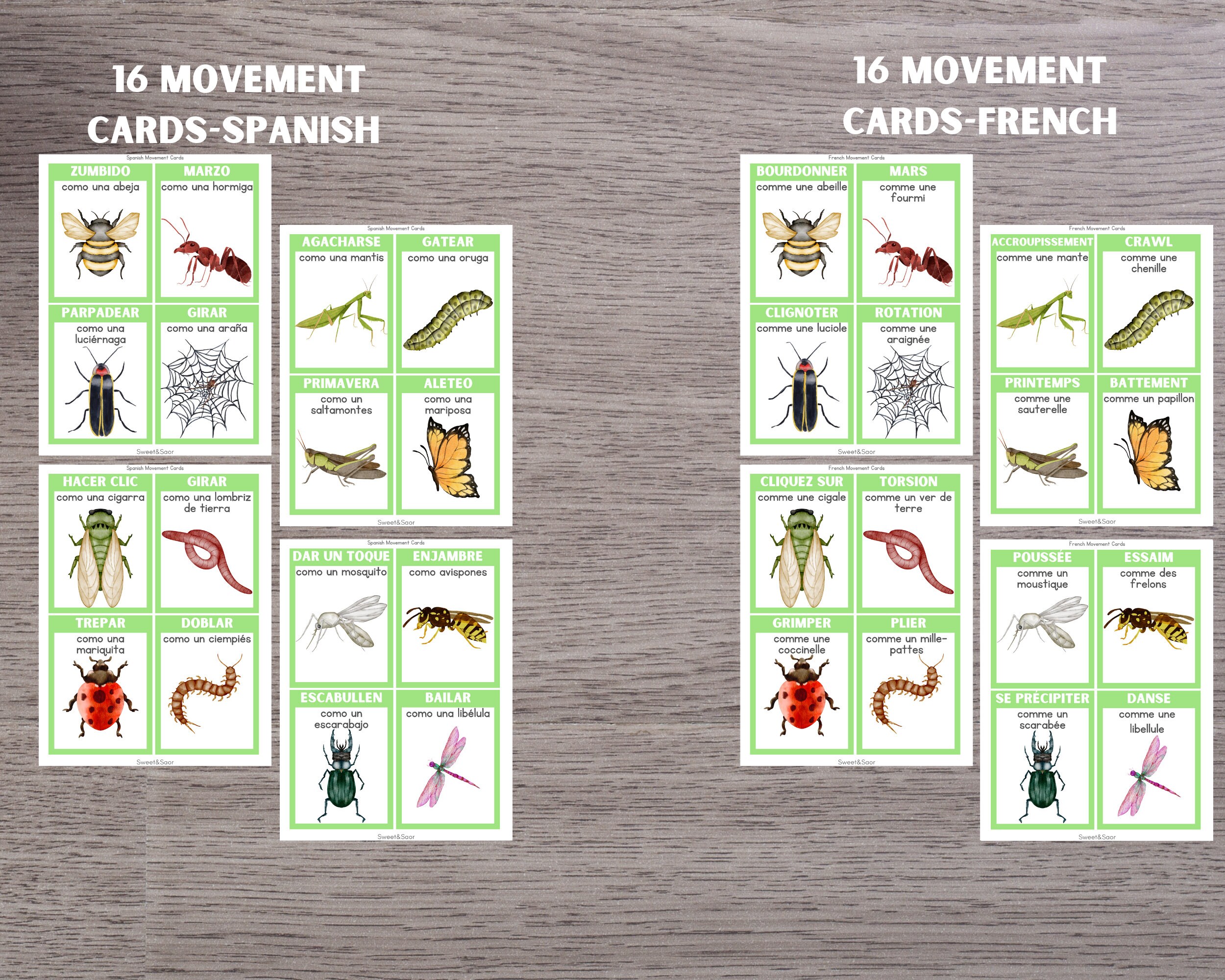 Insect Movement Cards, Multilingual Kids Action Cards, Preschool ...