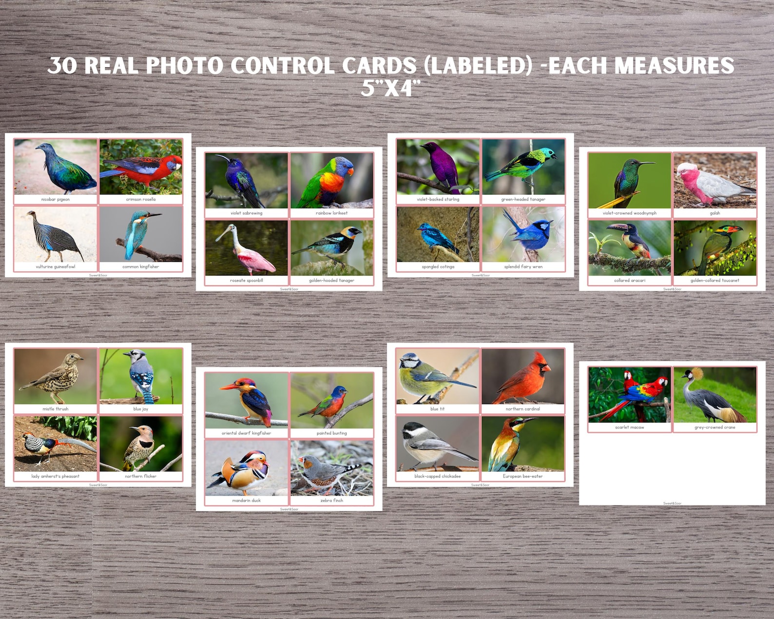 Bird Pattern Matching Game, Animal Pattern Cards, Montessori Science ...