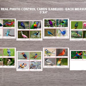 Bird Pattern Matching Game, Animal Pattern Cards, Montessori Science ...