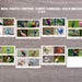 Bird Pattern Matching Game, Animal Pattern Cards, Montessori Science ...