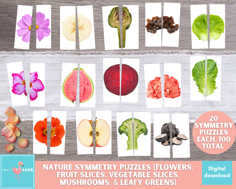 Nature Symmetry Matching Cards: Flower, Fruit, Vegetable (digital ...
