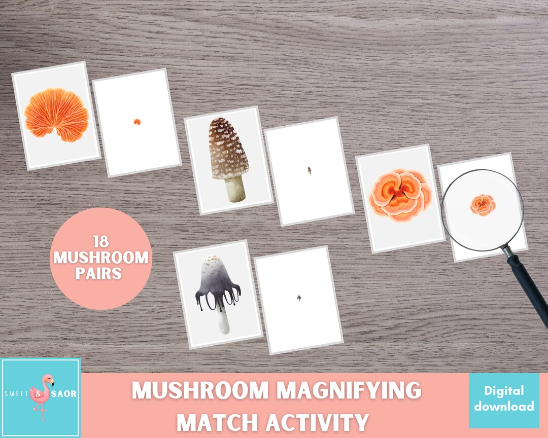 Mushroom Magnifying Match Activity, Magnifying Glass Game, Montessori ...