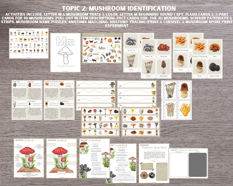 Mushroom Unit Study: Life Cycle, Anatomy, Identification (PDF Download ...