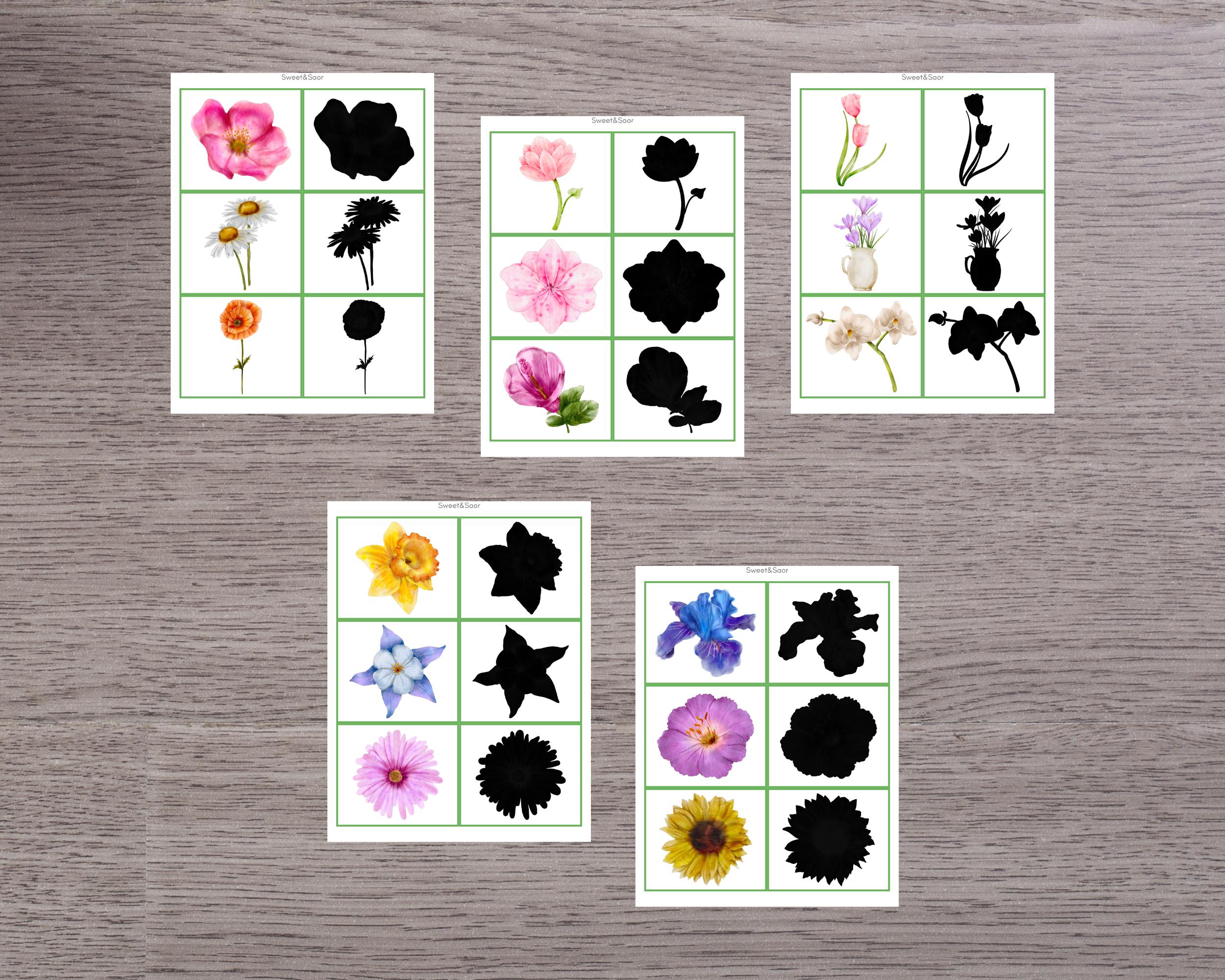 Flower Shadow Matching Game: Printable Preschool Activity (PDF Download ...