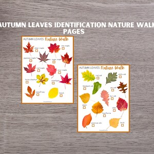 Autumn Scavenger Hunt Printable, Fall Nature Walk, Outdoor Sensory ...