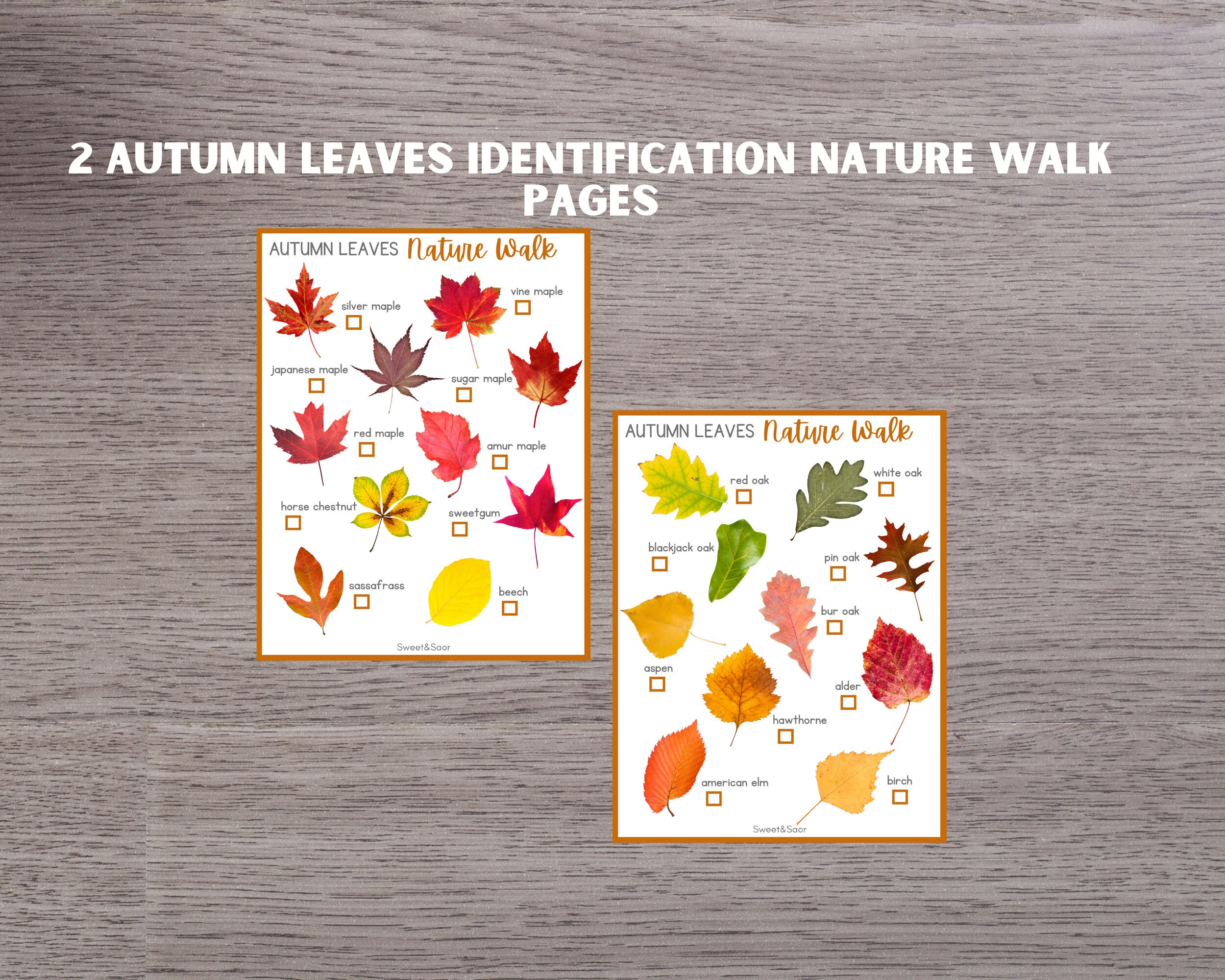 Autumn Scavenger Hunt Printable, Fall Nature Walk, Outdoor Sensory ...