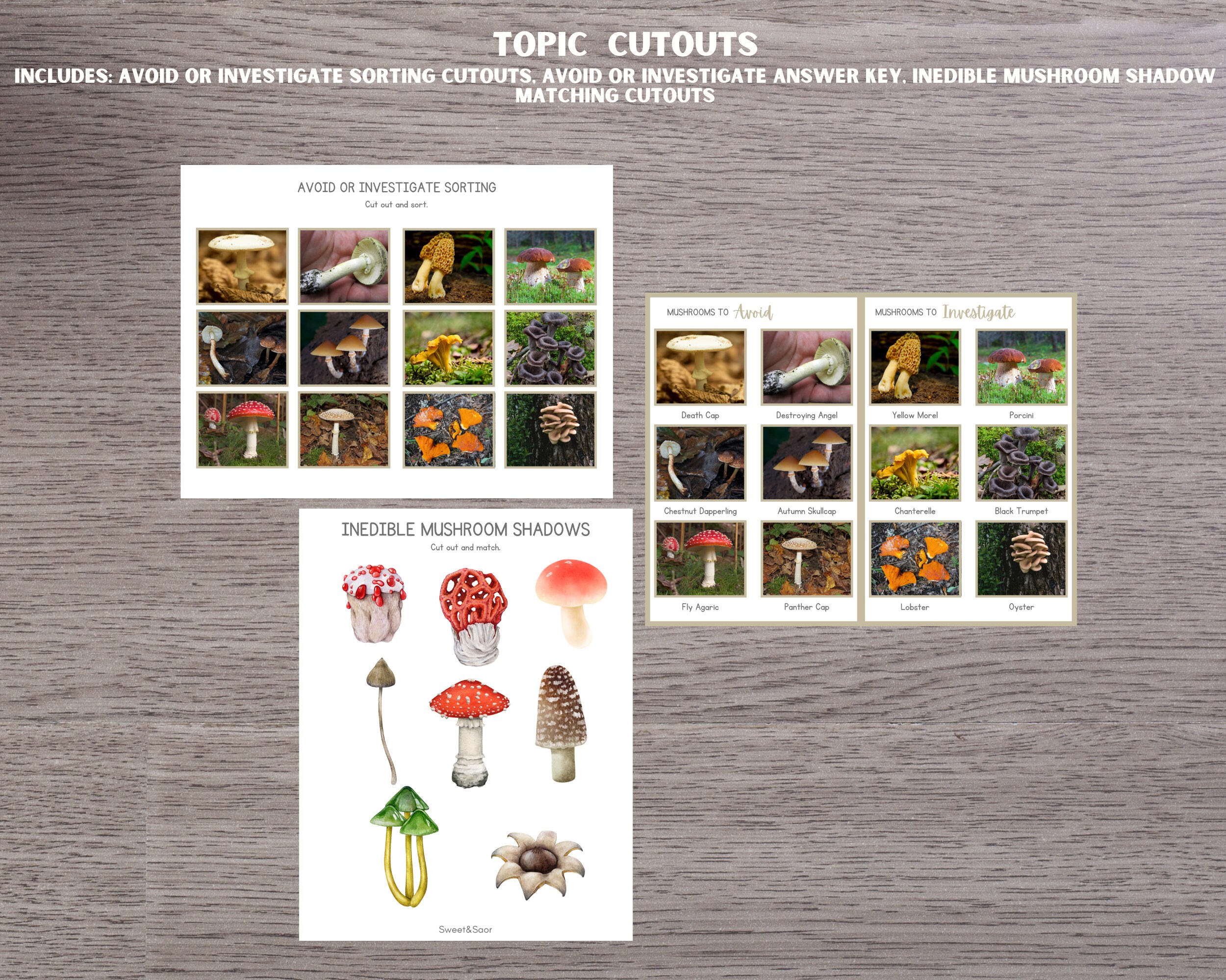 Mushroom Unit Study: Life Cycle, Anatomy, Identification (PDF Download ...