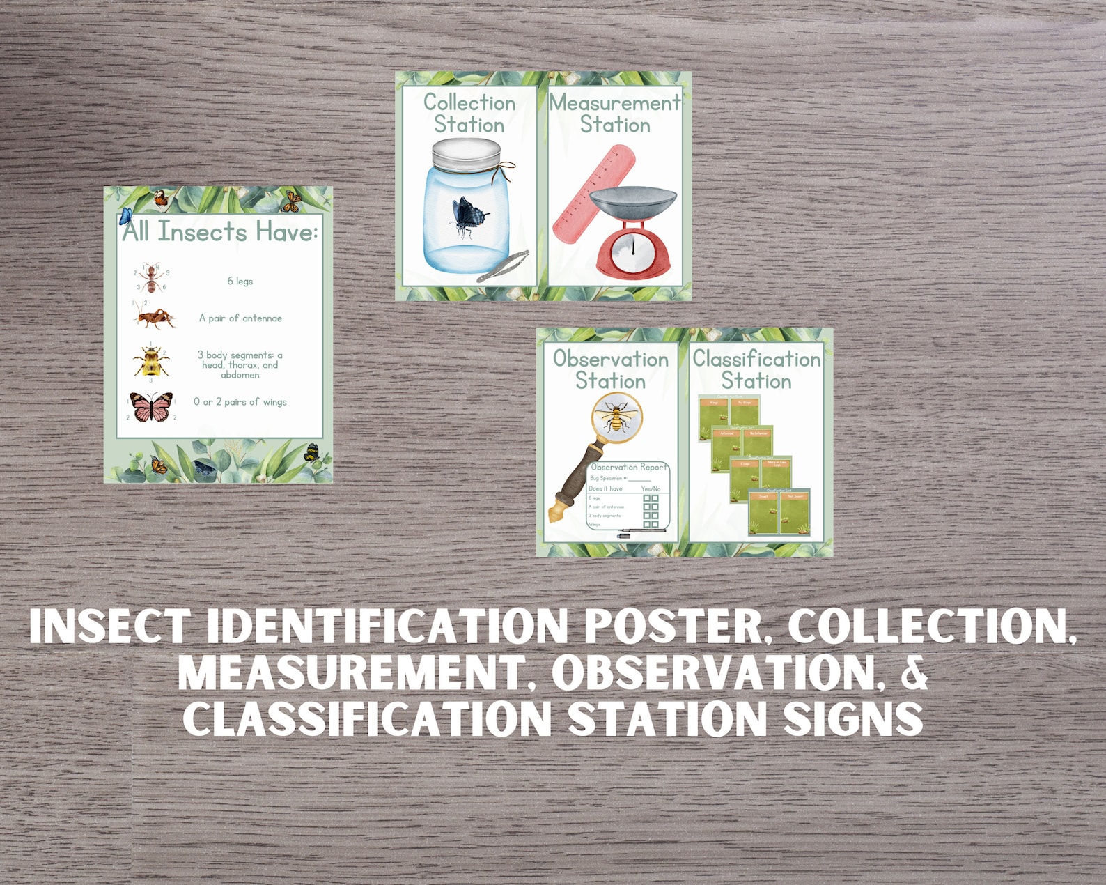 Entomology Lab Dramatic Play Set: Printable Pretend Play (PDF Download ...