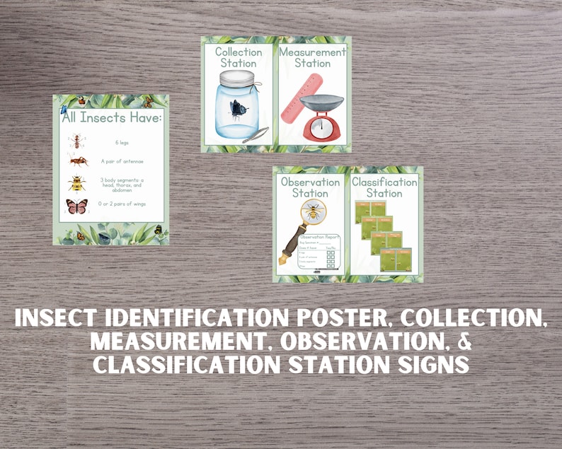 Entomology Lab Dramatic Play Set: Printable Pretend Play (PDF Download ...