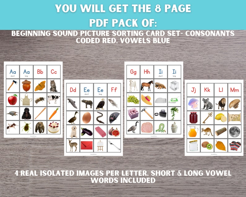 Beginning Sounds Sorting Cards, Preschool Letter Sounds Picture ...