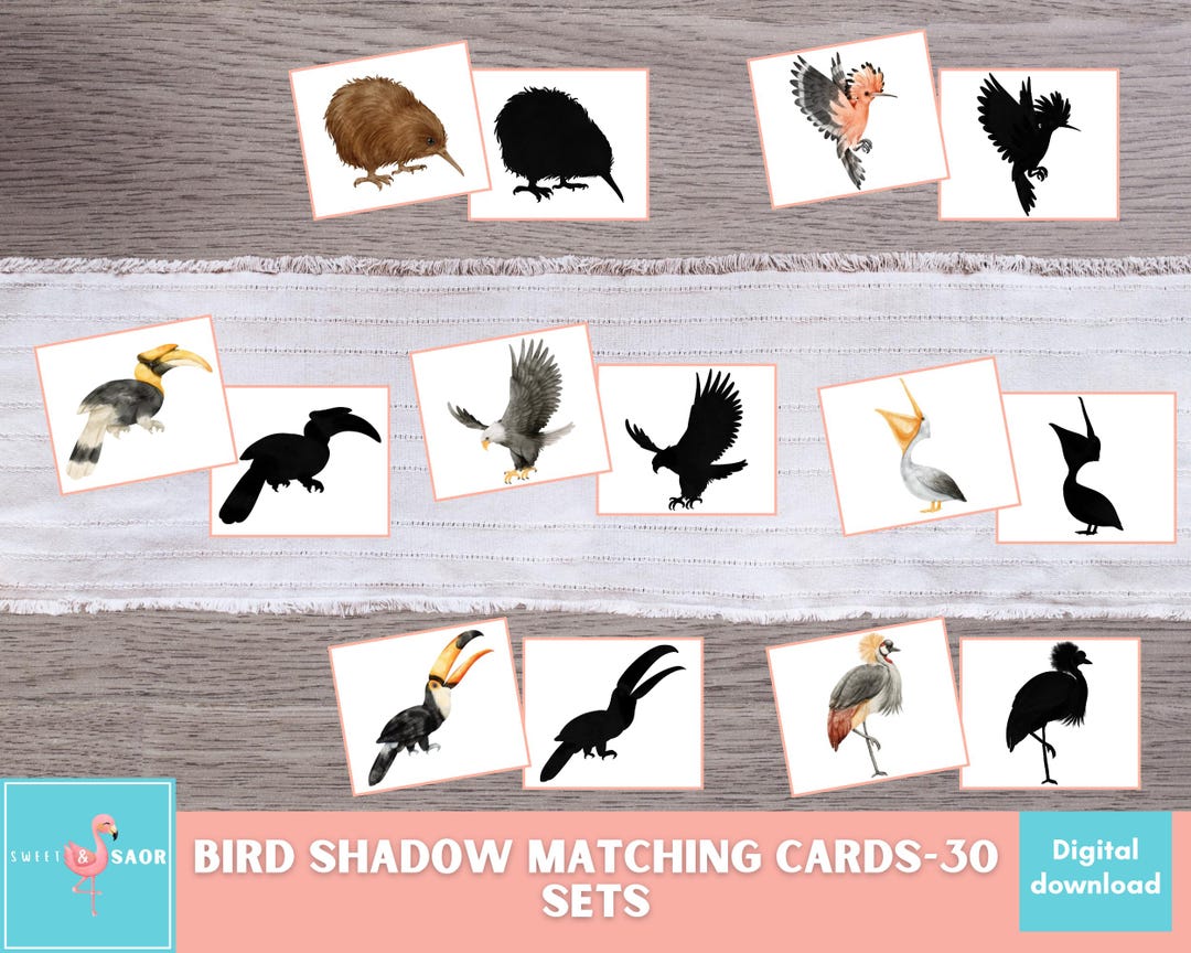 Bird Shadow Matching Cards, Montessori Toddler Printable, Preschool ...
