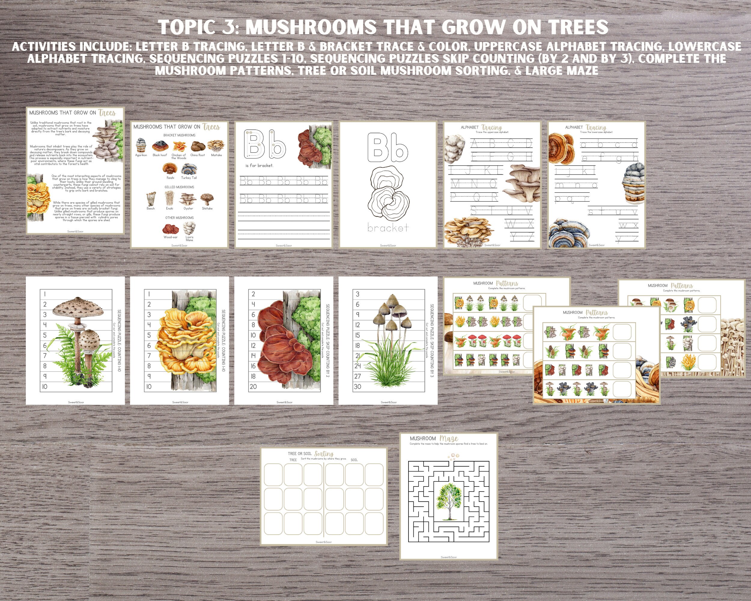 MUSHROOM Unit Study, Life Cycle, Anatomy, Nature Study, Science ...