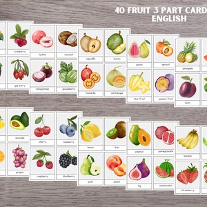 Fruits Flash Cards, Montessori 3 Part Fruit Cards, Montessori Cards ...