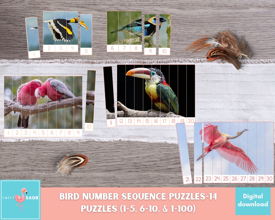 Birds Number Sequence Puzzles, Printable Preschool Number Counting ...
