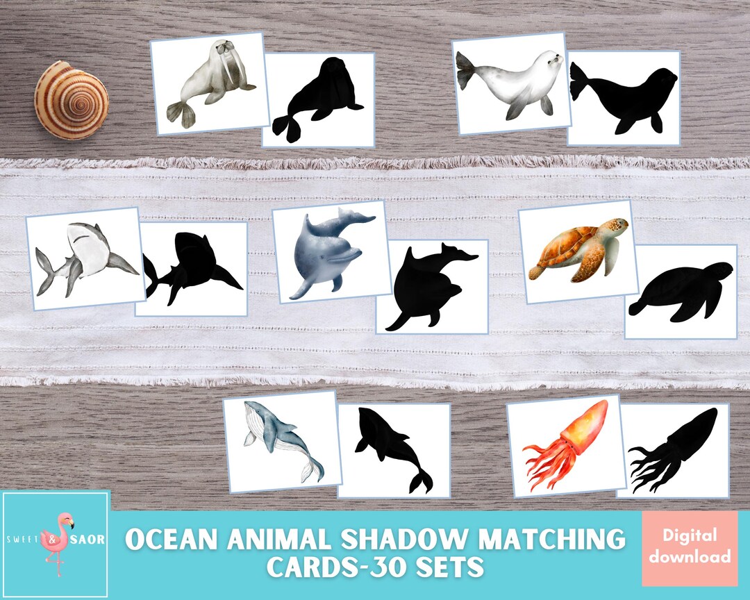 Ocean Animal Shadow Matching Game: Printable Preschool Activity (PDF ...
